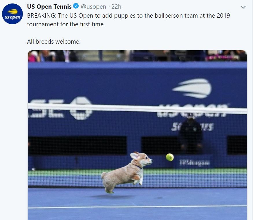 The top sporting April Fools’ Day pranks from around the world | The ...